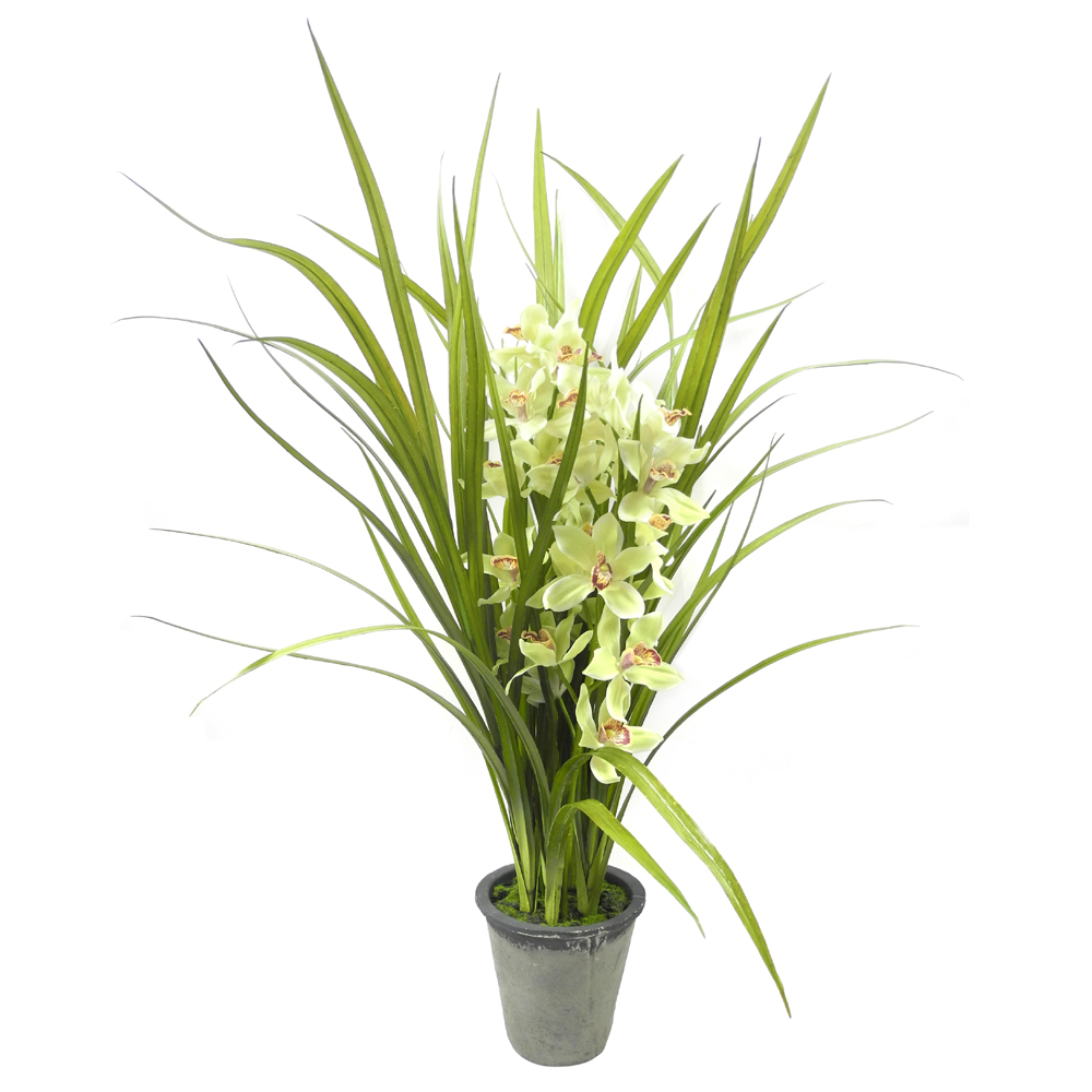 Orchidee im Zemtent-Topf | Rosen & Orchideen | Blumen | Hinteregger Webshop